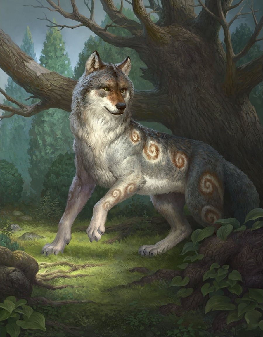 MTGNexus - Wolf token Art by Jakub Kasper
