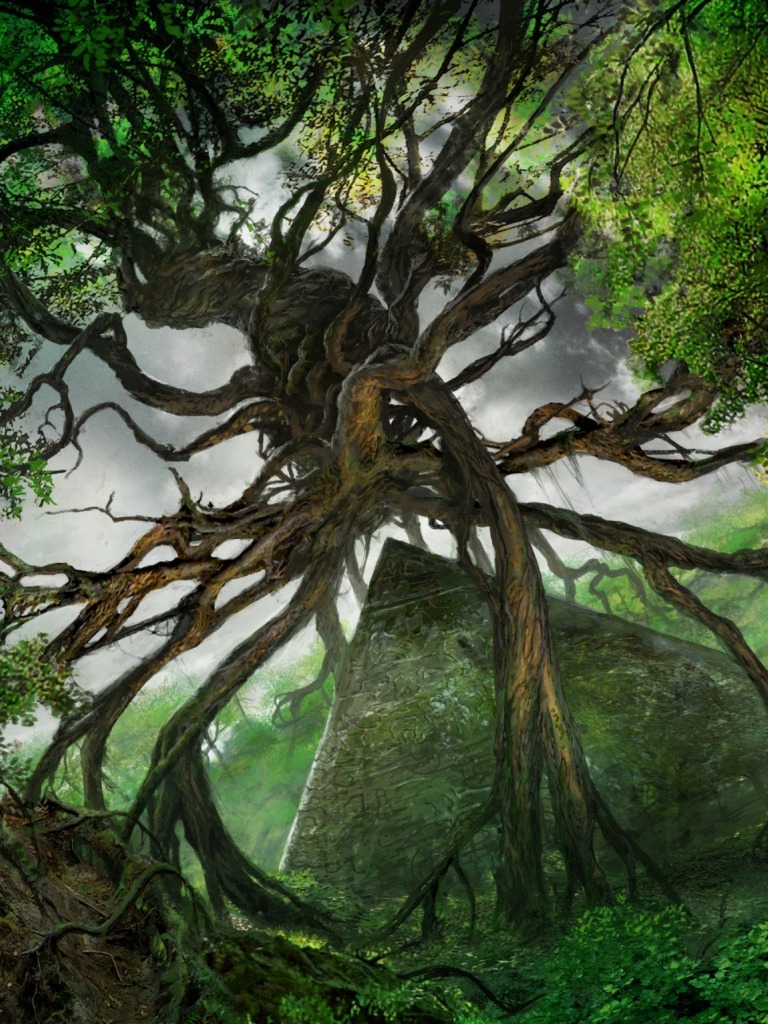 MTGNexus - Forest Art by Vincent Proce