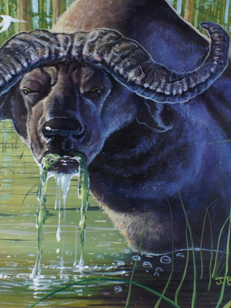 MTGNexus - Wild Ox Art by Jeffrey R. Busch