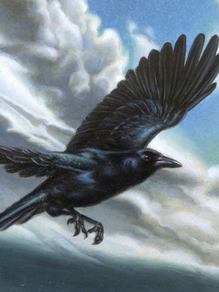 MTGNexus - Storm Crow Art by John Matson