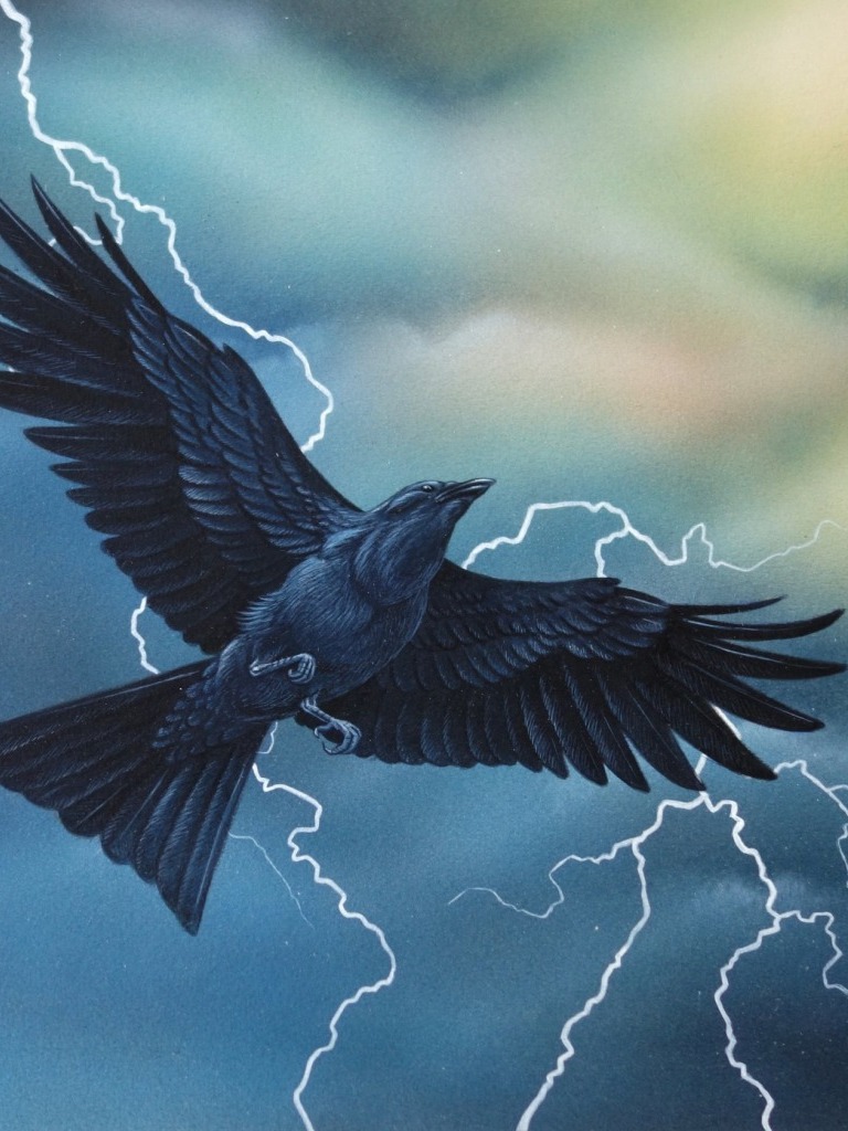 MTGNexus - Storm Crow Art by Una Fricker