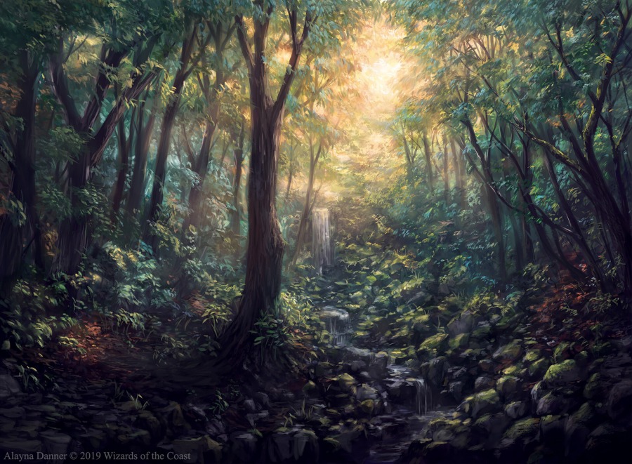 MTGNexus - Forest Art by Alayna Danner