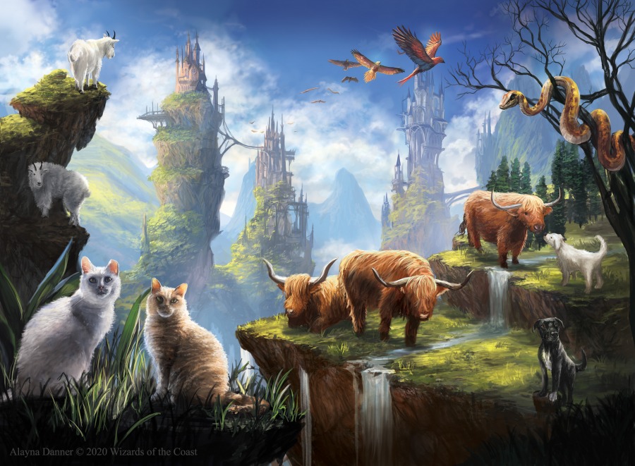 MTGNexus - Animal Sanctuary Art by Alayna Danner