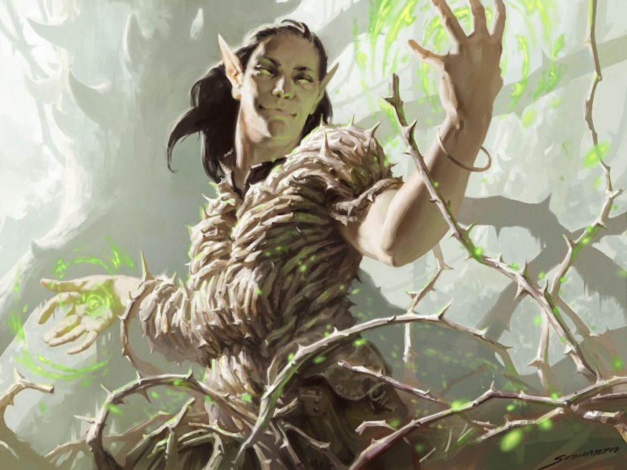 MTGNexus - Vastwood Fortification Art by Sidharth Chaturvedi